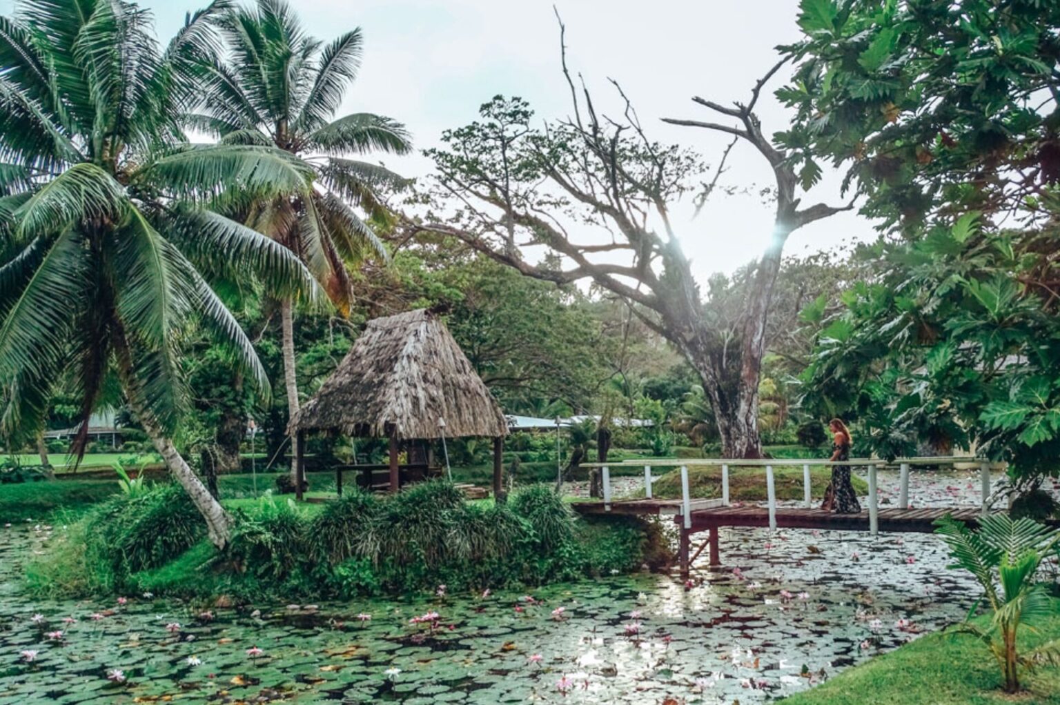 Koro Sun Resort in Fiji (the Rainforest One) - Fiji High