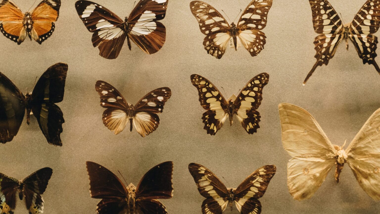 10 Most Interesting Historical Sites to Visit in Fiji for Education and ...