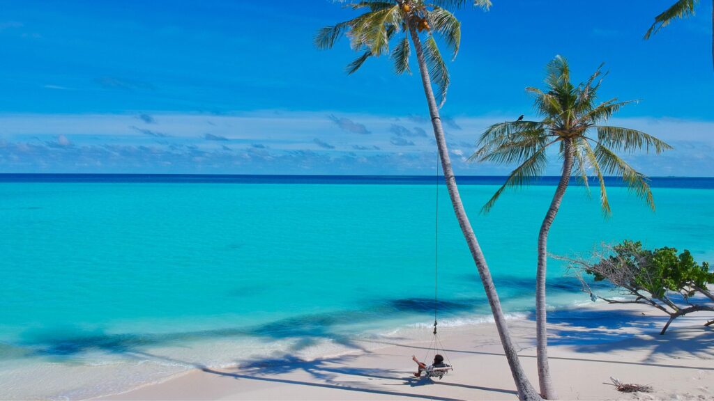 Best Things to Do in Fiji: Your Ultimate Adventure Guide - Fiji High