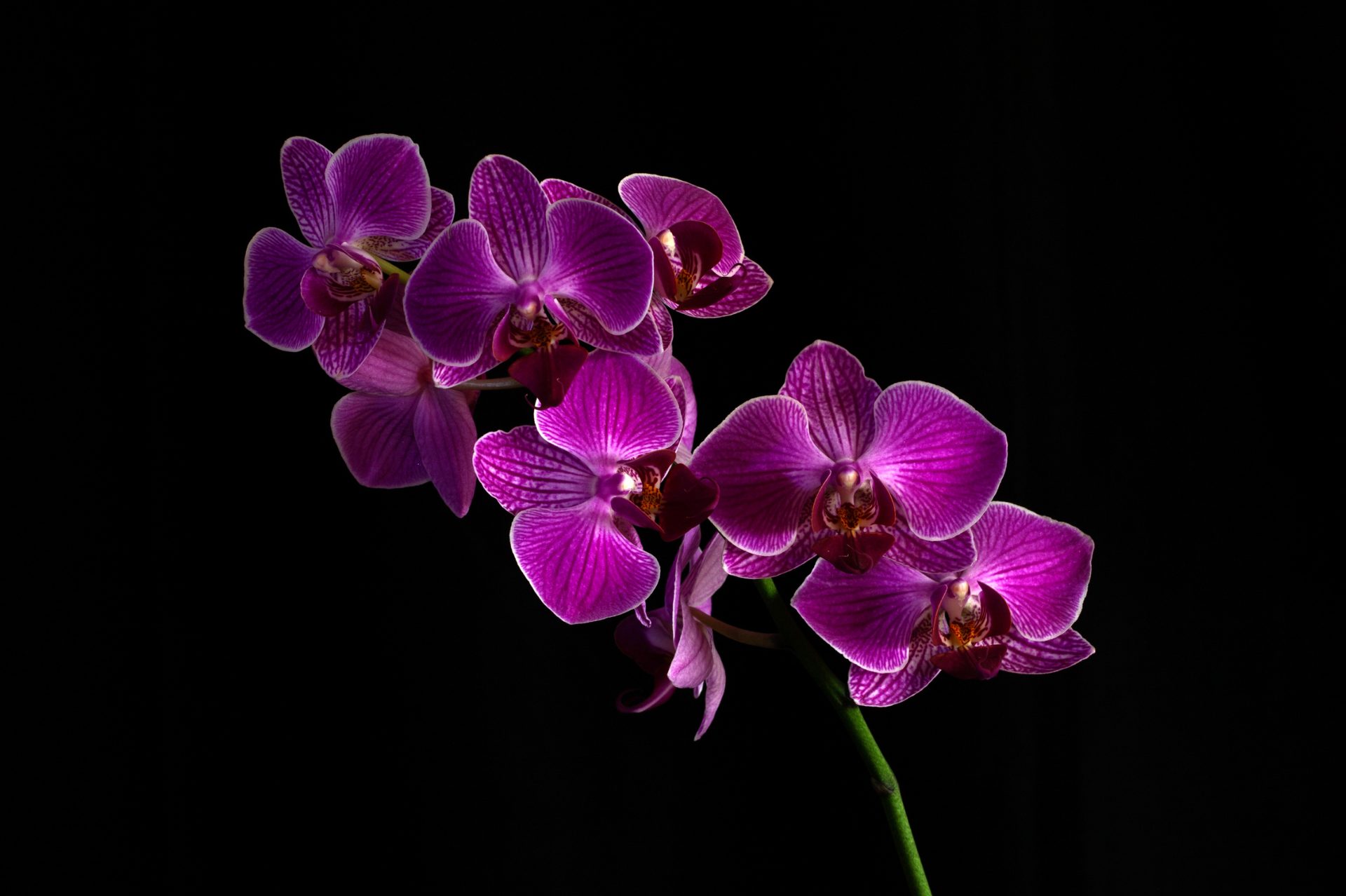 Grand List of ALL 83 main Fiji Tourist Sites - Fiji High