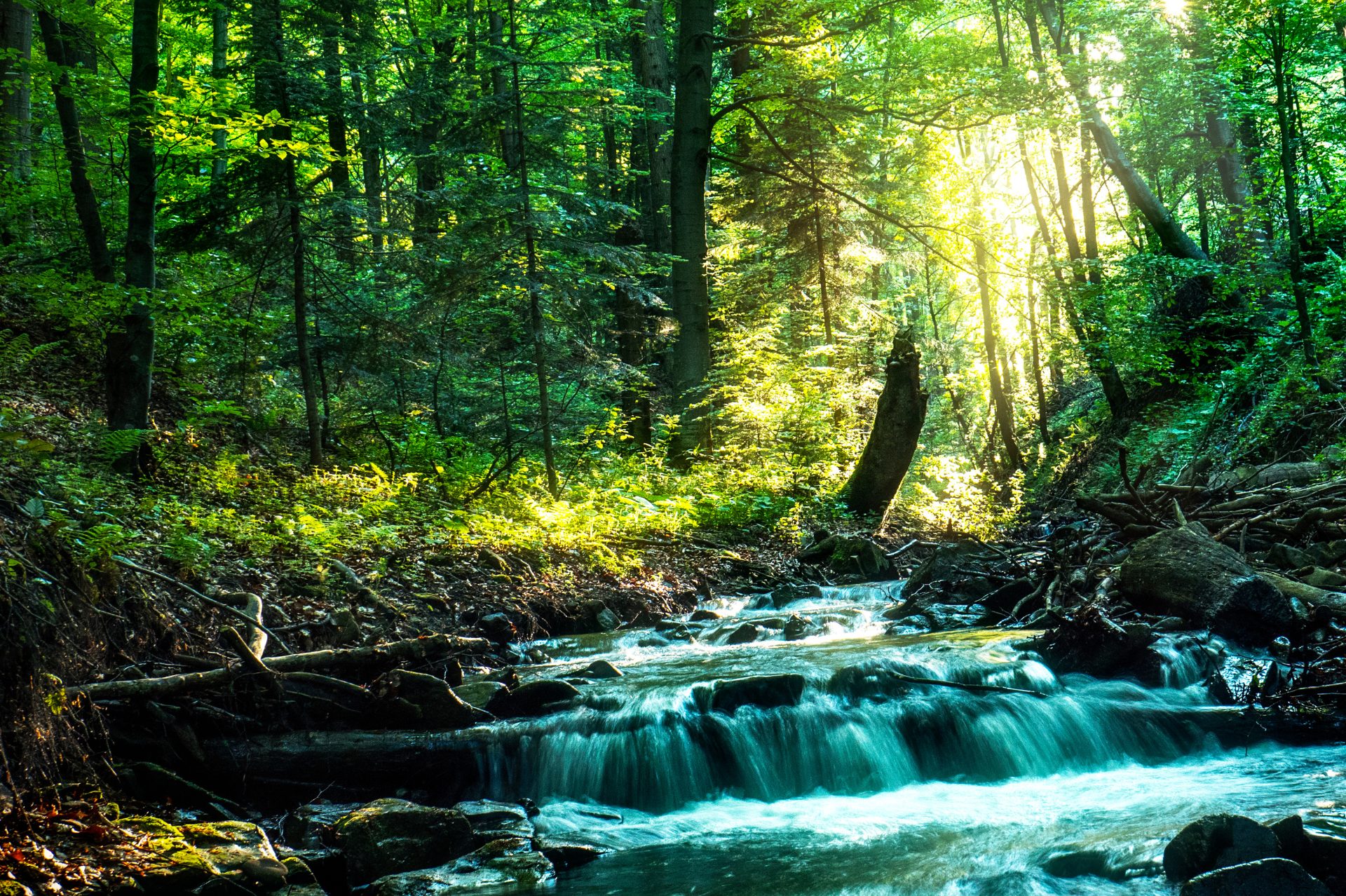 Vanua Levu Fiji Top Attractions and Activities - Fiji High